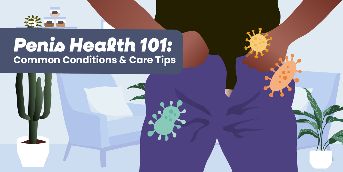 Penis Health 101 Common Conditions And Care Tips 8450